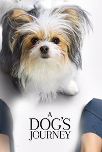 A Dogs Journey Movie (2019) in | Release Date, Showtimes & Ticket ...